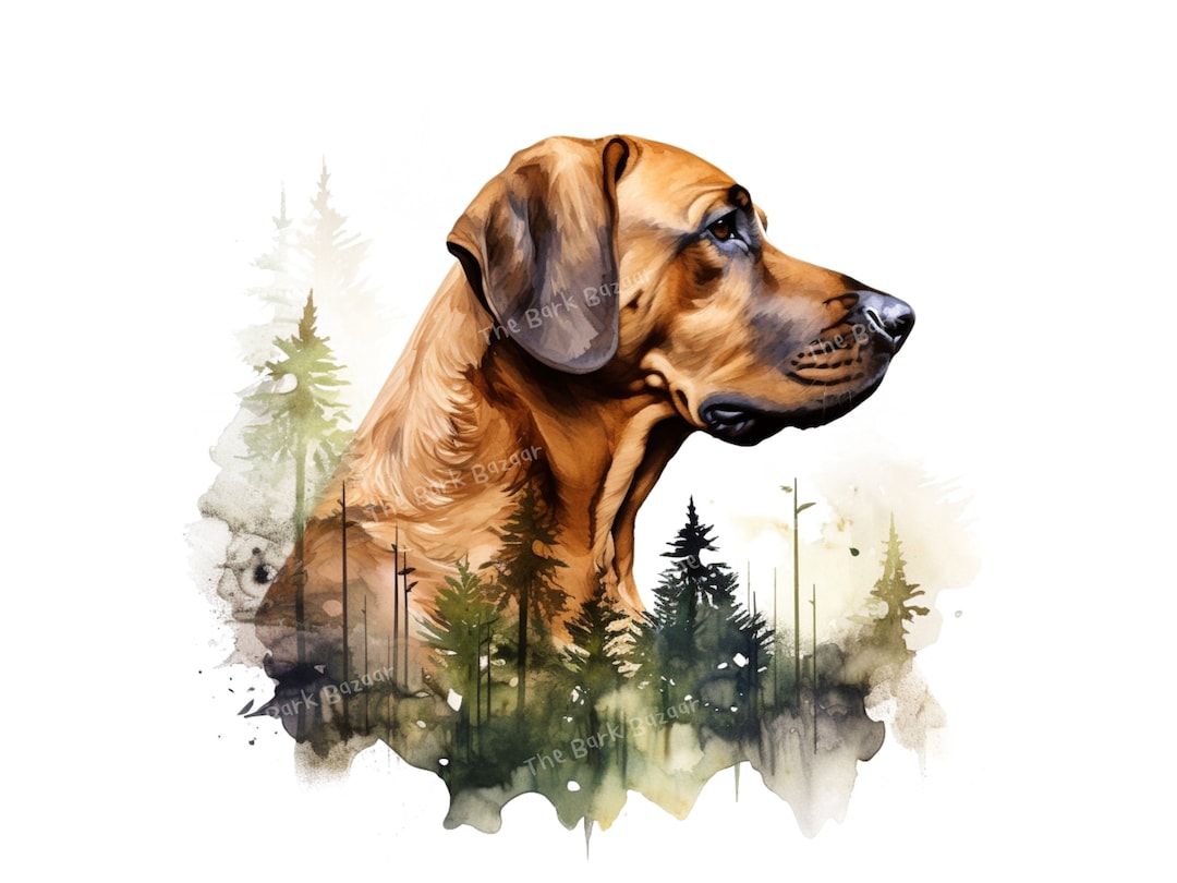 Watercolor Rhodesian Ridgeback Portrait Double Exposure Portrait ...