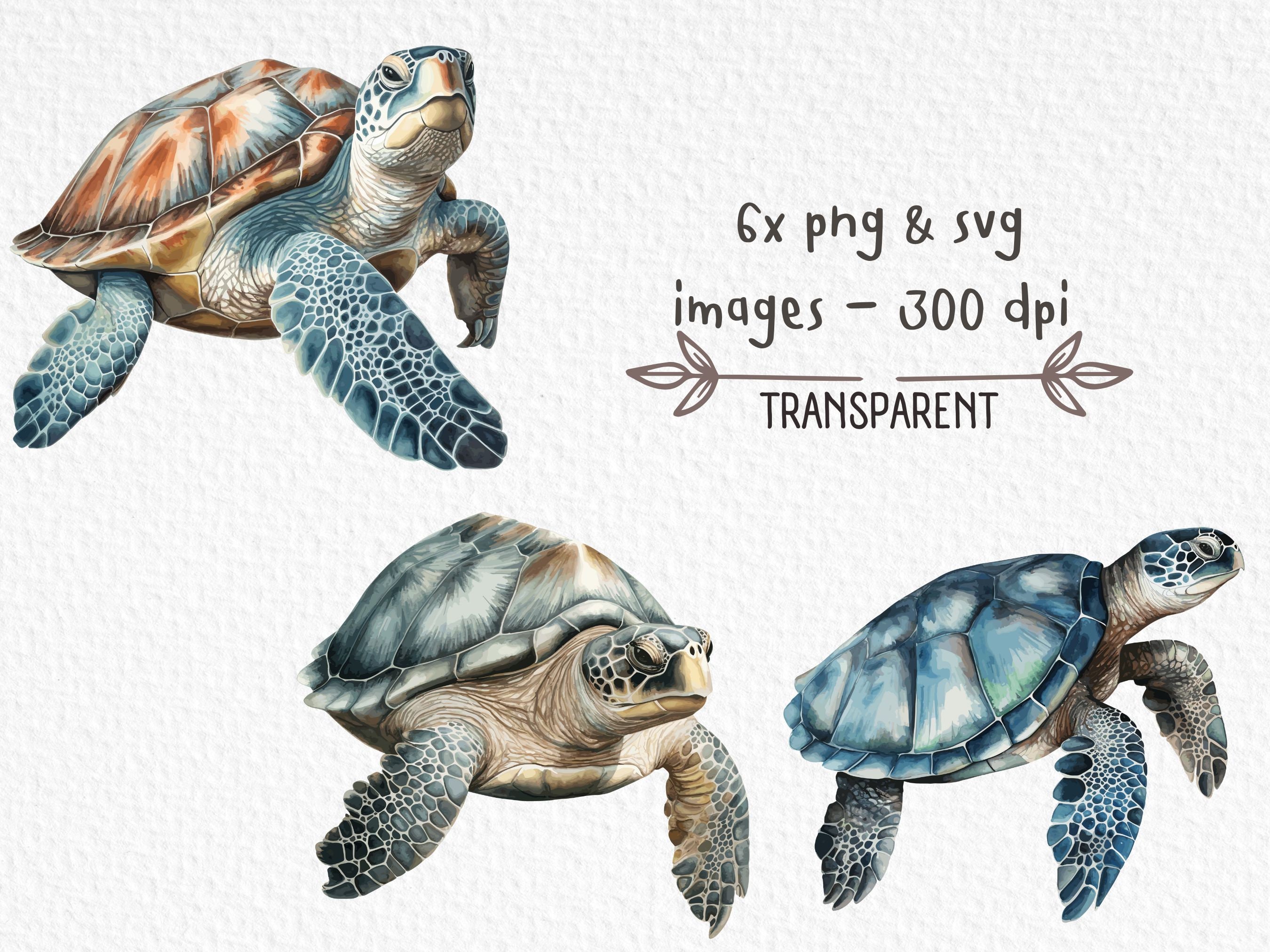 Watercolor Sea Turtle Clipart Bundle 6 High Quality PNG SVG - Etsy