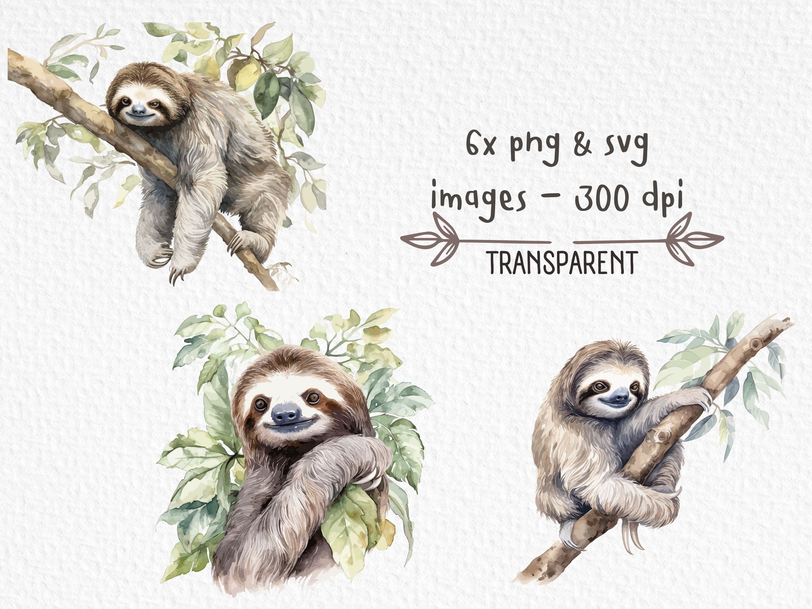 Watercolor Sloth Clipart 6 High-quality PNG SVG Files 300 - Etsy