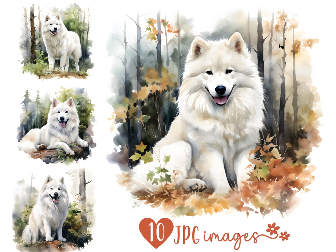 Samoyed Clipart Bundle, Watercolor Samoyed JPG Images, Dog Fall Clipart ...