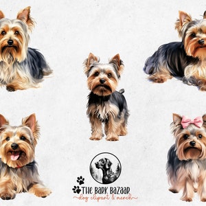 Yorkshire Terrier Clipart Bundle, Watercolor Yorkshire PNG Images for ...