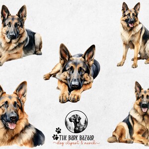 German Shepherd Clipart Bundle, Watercolor German Shepherd PNG Images ...
