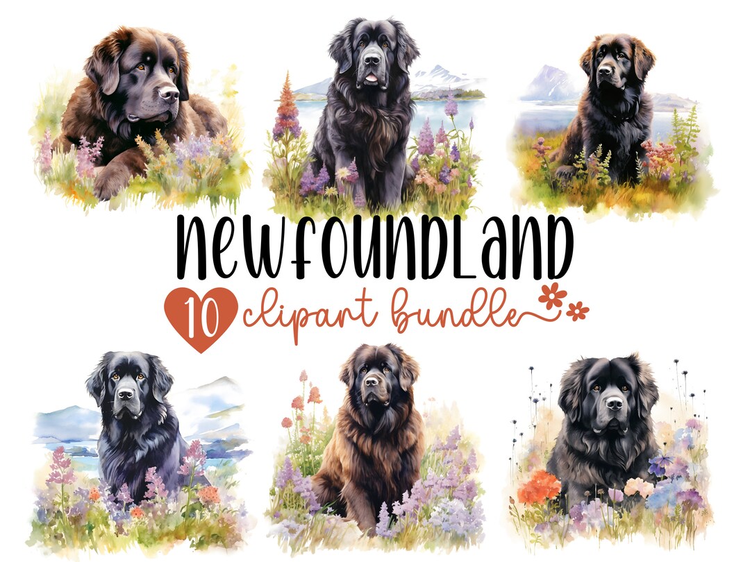 Newfoundland Clipart Bundle Watercolor Newfoundland JPG - Etsy