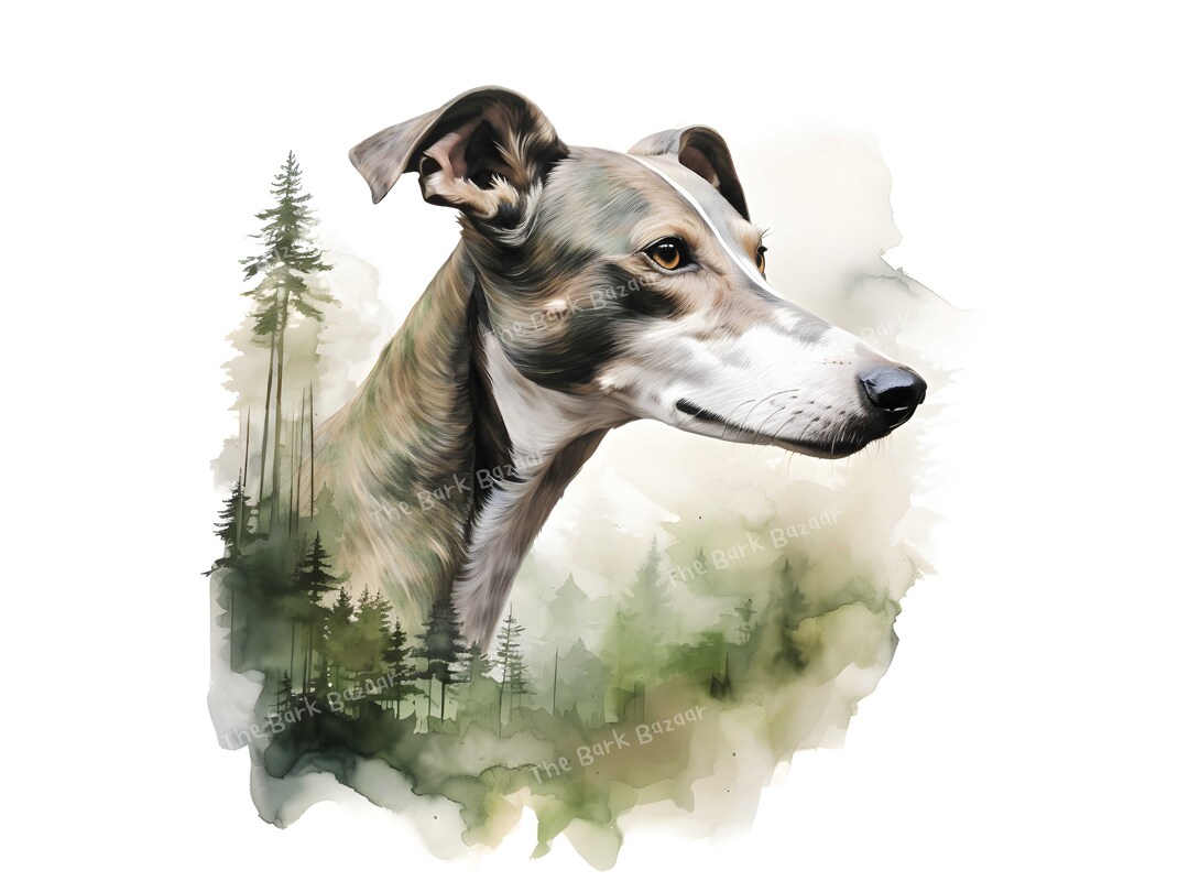 Watercolor Whippet Portrait Double Exposure Portrait, Printable Wall ...