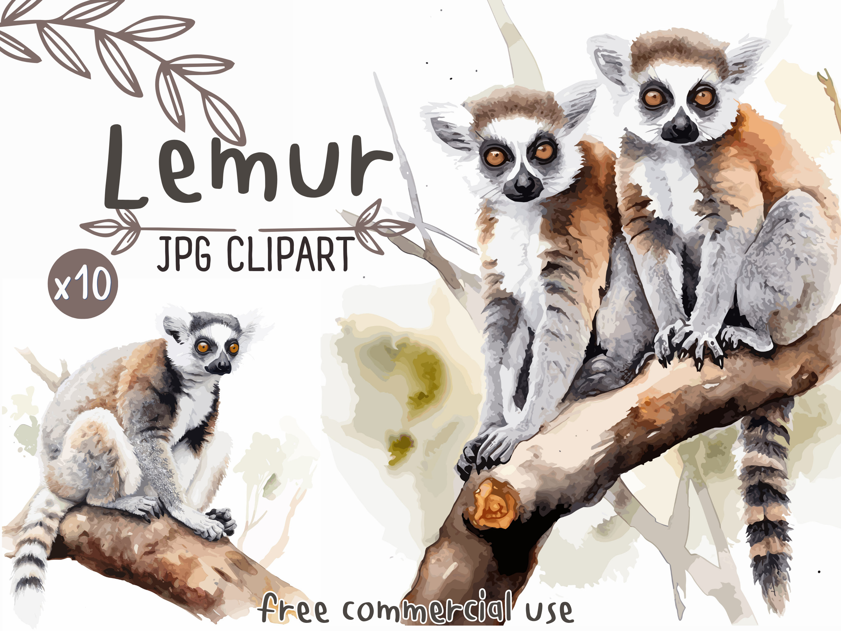 Lemur Clip Art