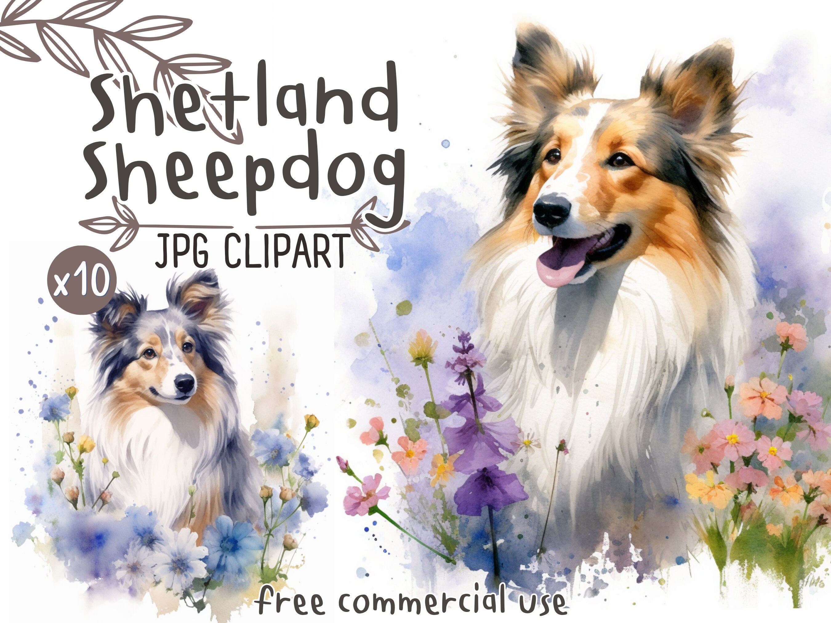 Bi Black Sheltie Clipart