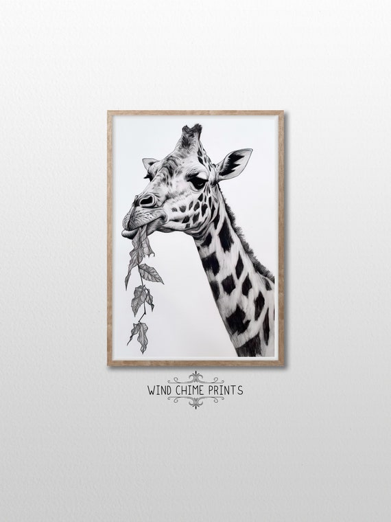 Giraffe Eating Leaves Drawing
