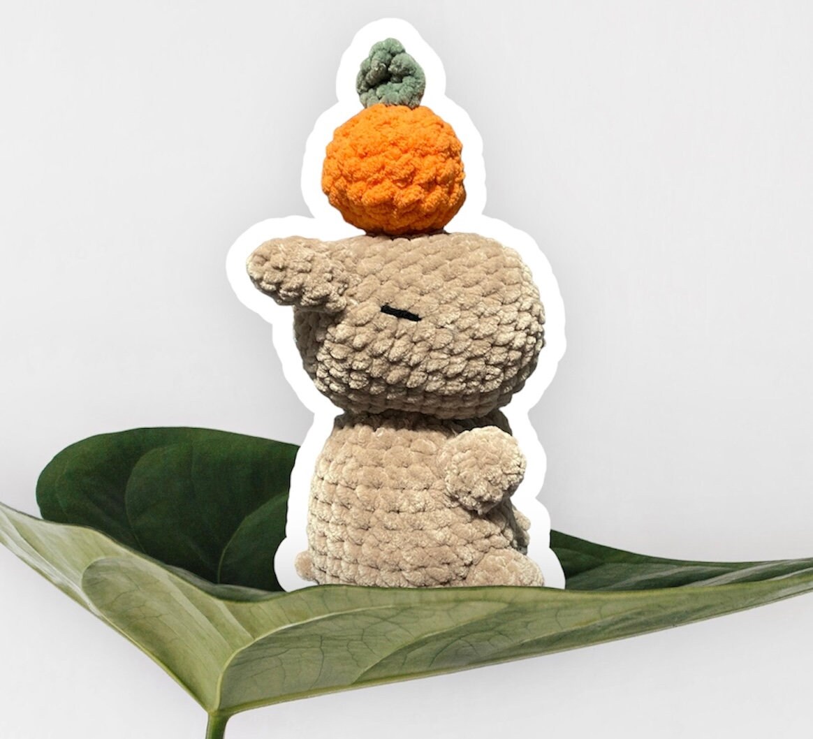 Capybara Made to Order - Etsy