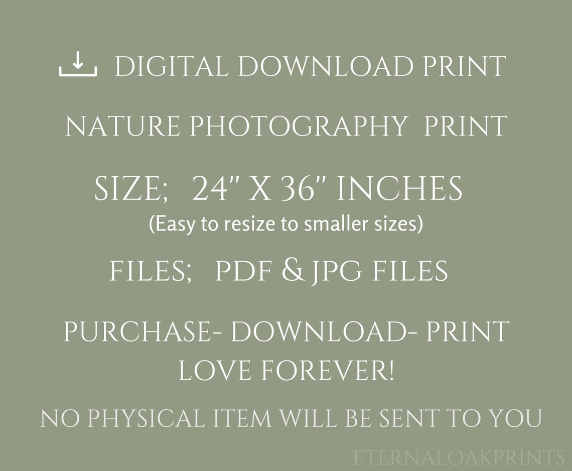 Vintage Spring Printable Wall Art, Vintage Spring Prints, Vintage ...