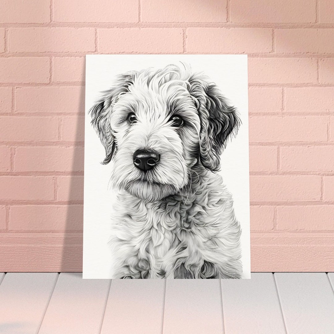 Labradoodle Drawing, Labradoodle Wall Art, Labradoodle Poster - Etsy