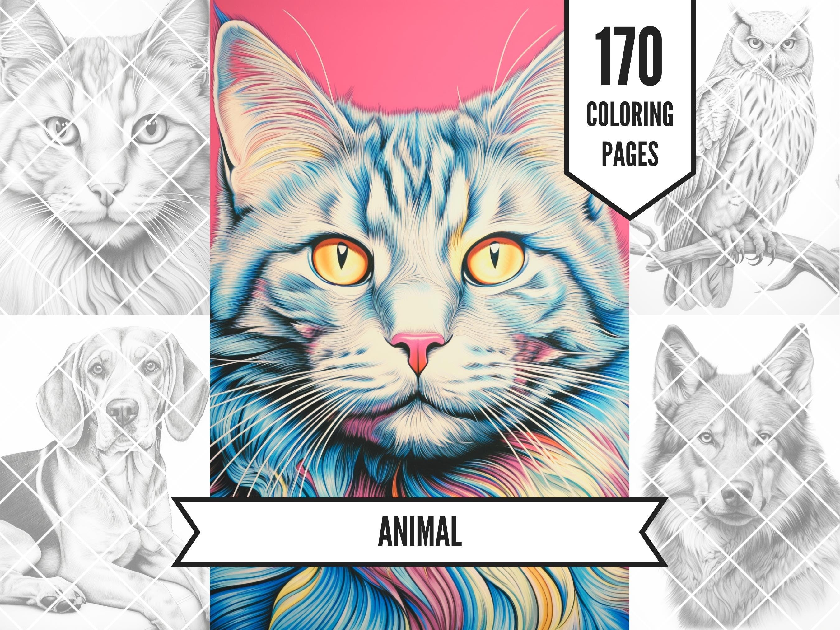Animal Coloring Pages Bundle, Animal Coloring Sheets, Animal Lover ...