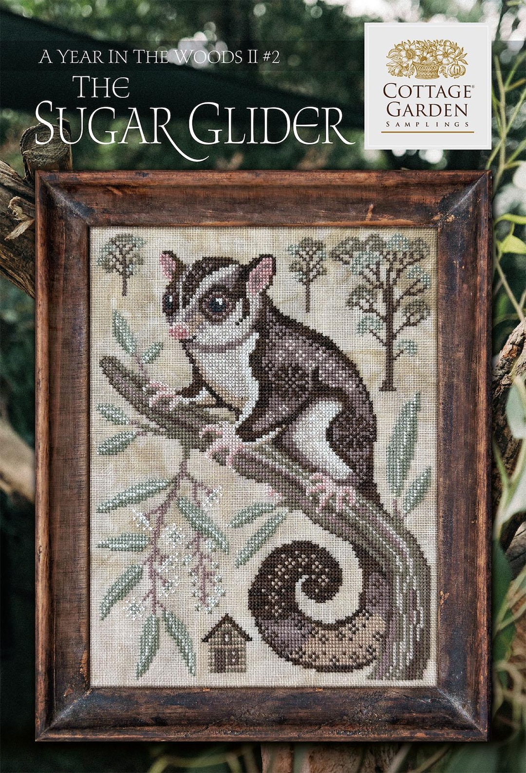 The Sugar Glider - A Year in the Woods 2 #2 by Cottage Garden Samplings ...