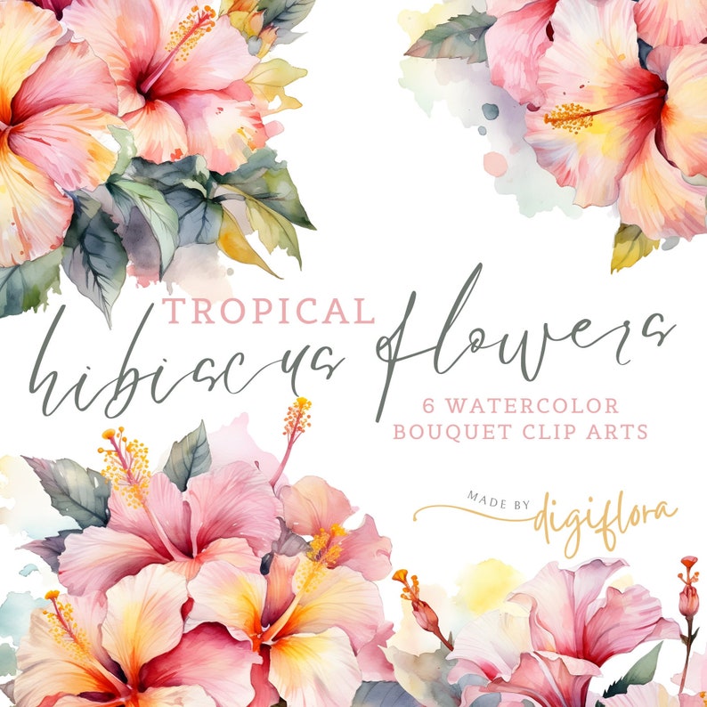 Tropical Hibiscus Flowers Watercolor Collection | Pink and Yellow ...