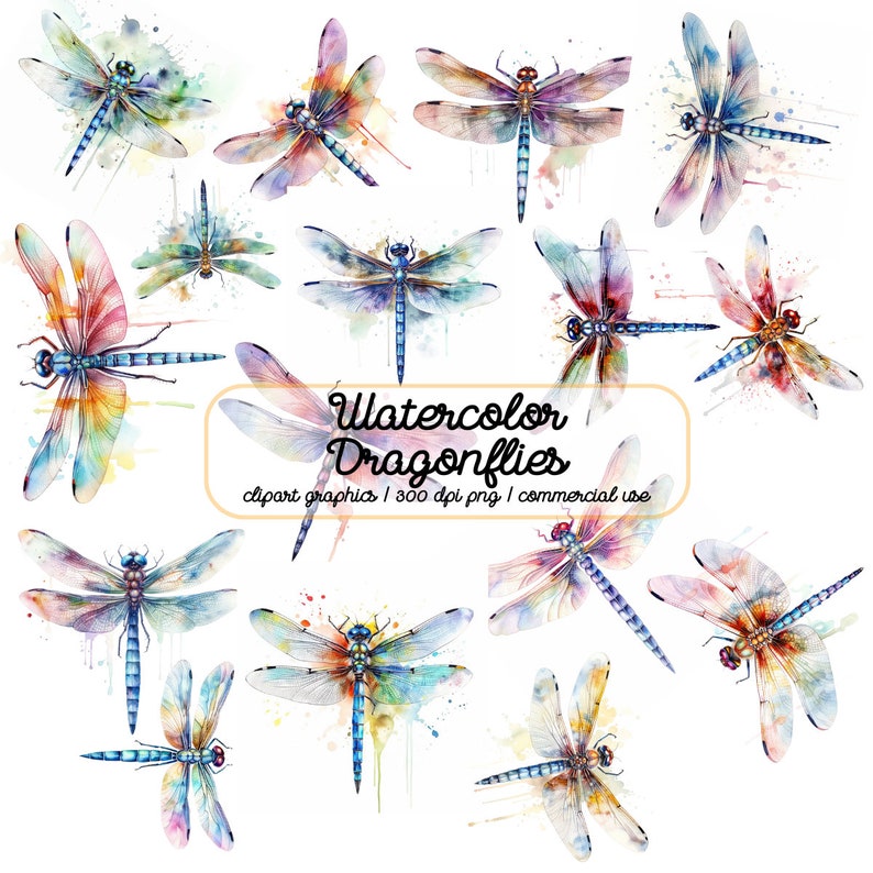 Watercolor Dragonflies Clipart, Watercolor Insects, Painted Dragonfly ...