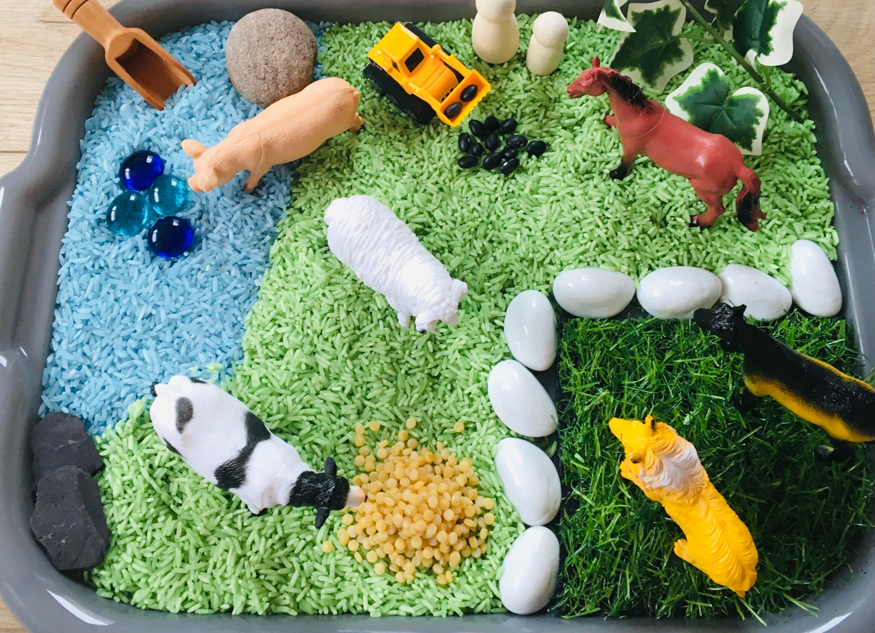Farm Yard Sensory Play Tray-farm Animals Sensory Rice-autism - Etsy UK