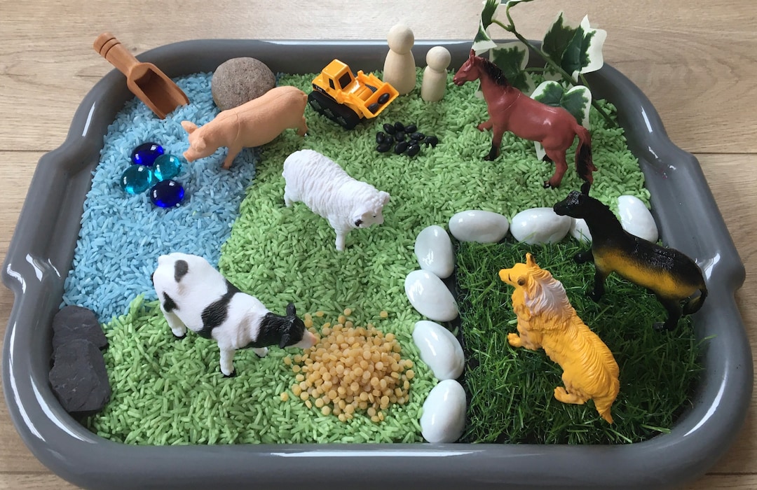 Farm Yard Sensory Play Tray-farm Animals Sensory Rice-autism - Etsy UK