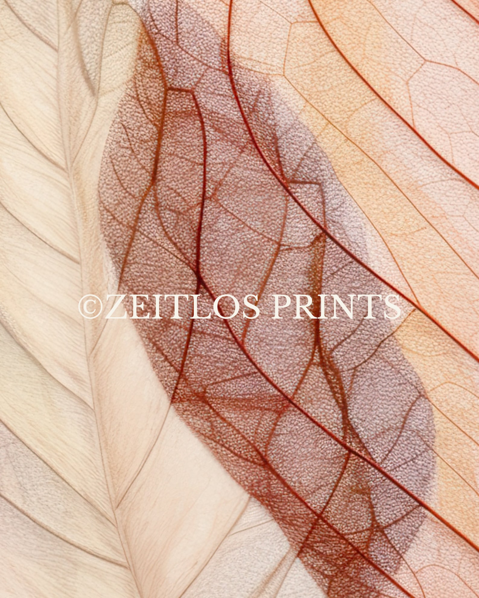 Autumn Leaves Close-up Print, Fall Botanical Illustration, Printable ...