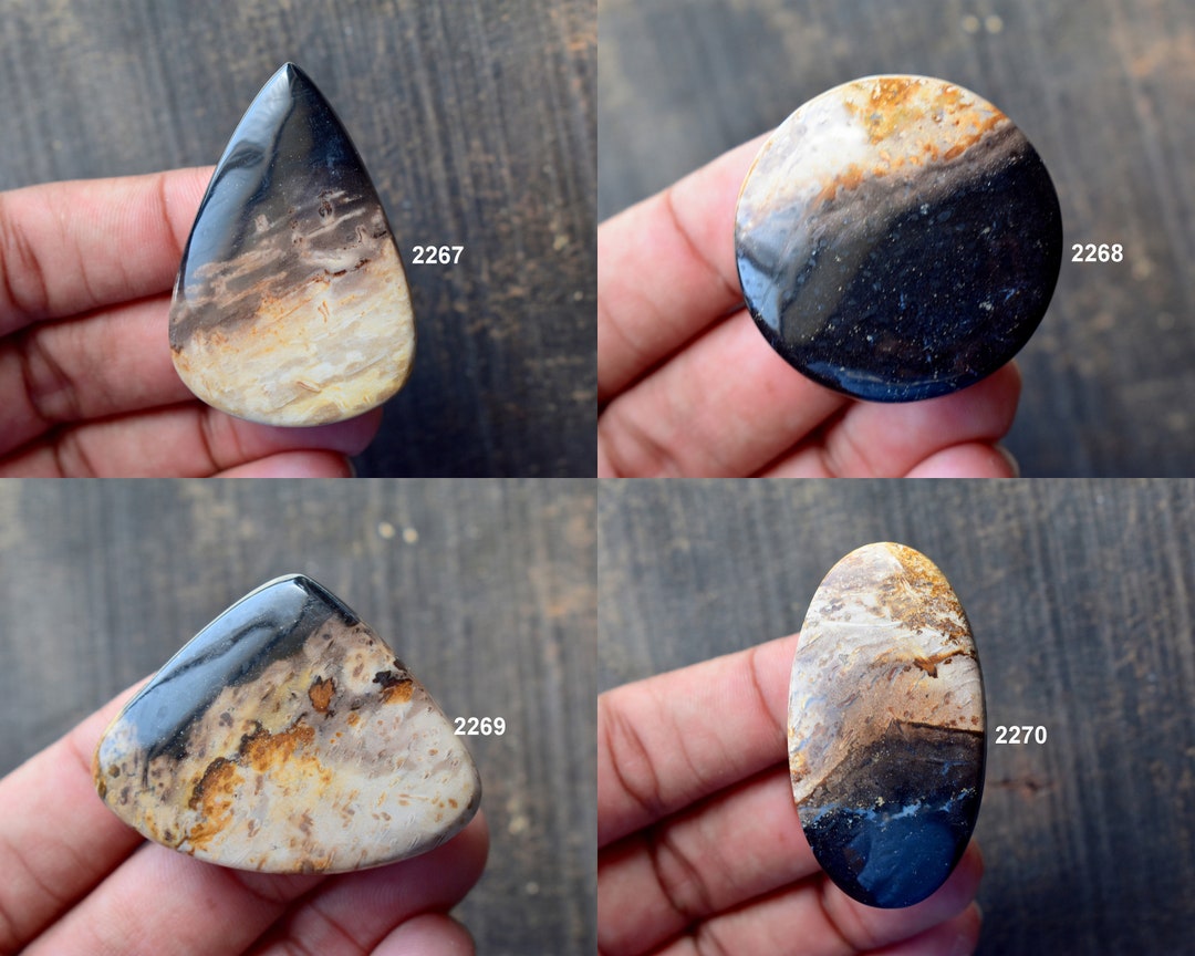 Natural Palm Root Agate Cabochon Loose Gemstone Petrified Palm Root ...