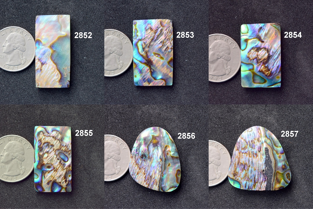Abalone Cabochon Abalone Gemstone Abalone Shell Loose Abalone Shell ...