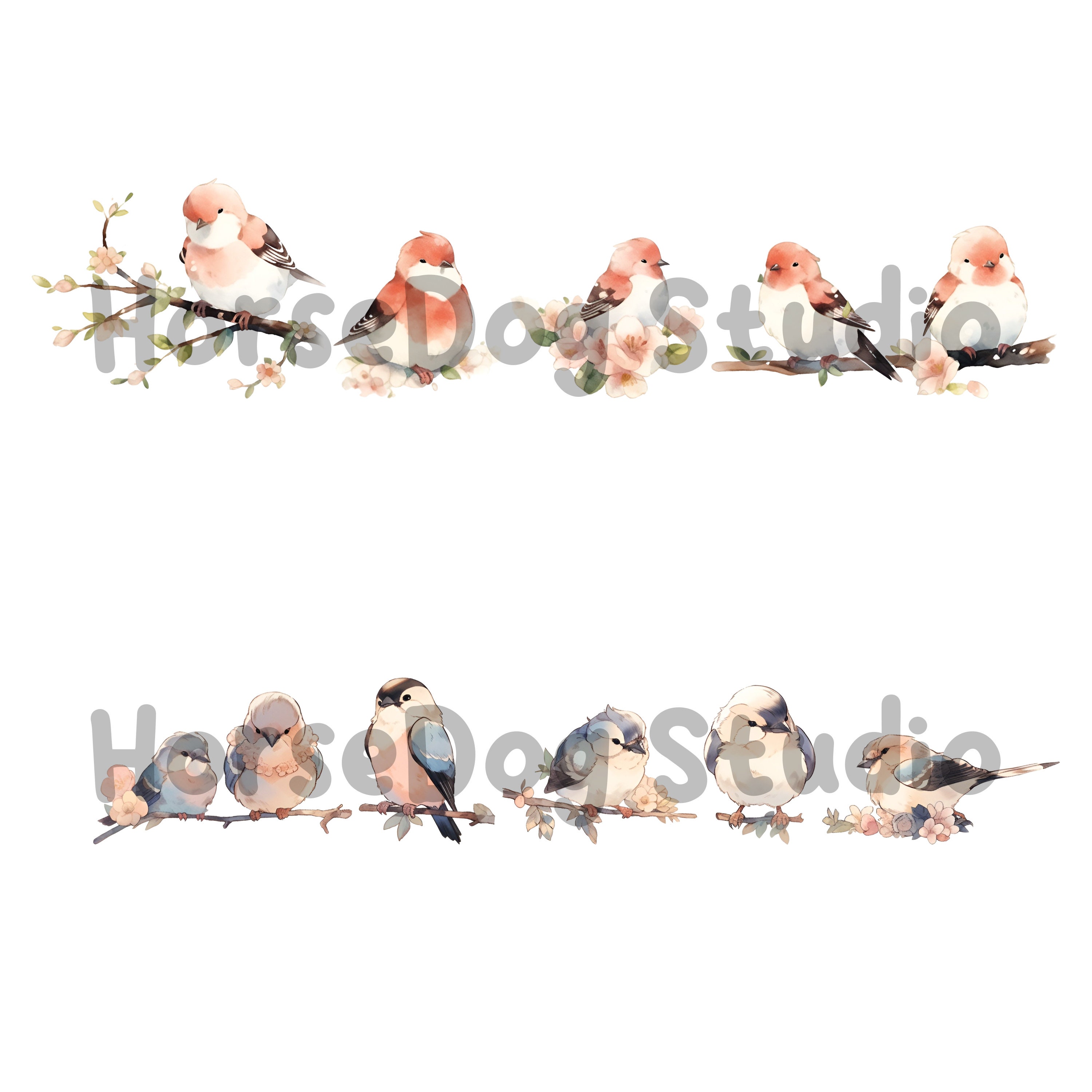 Watercolor Bird Clipart Digital Illustration Paper Crafting - Etsy