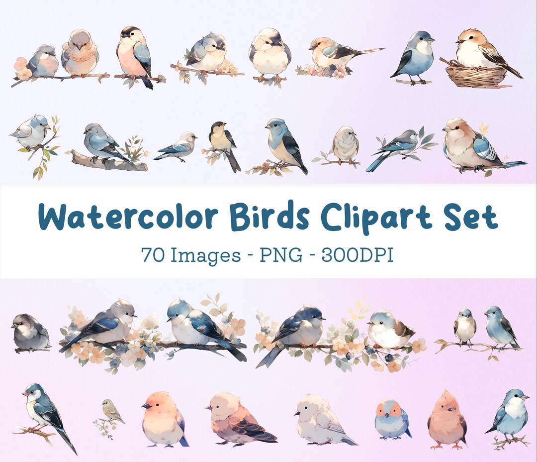 Watercolor Bird Clipart Digital Illustration Paper Crafting - Etsy
