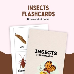 Printable Insects Flashcards Download Children's - Etsy
