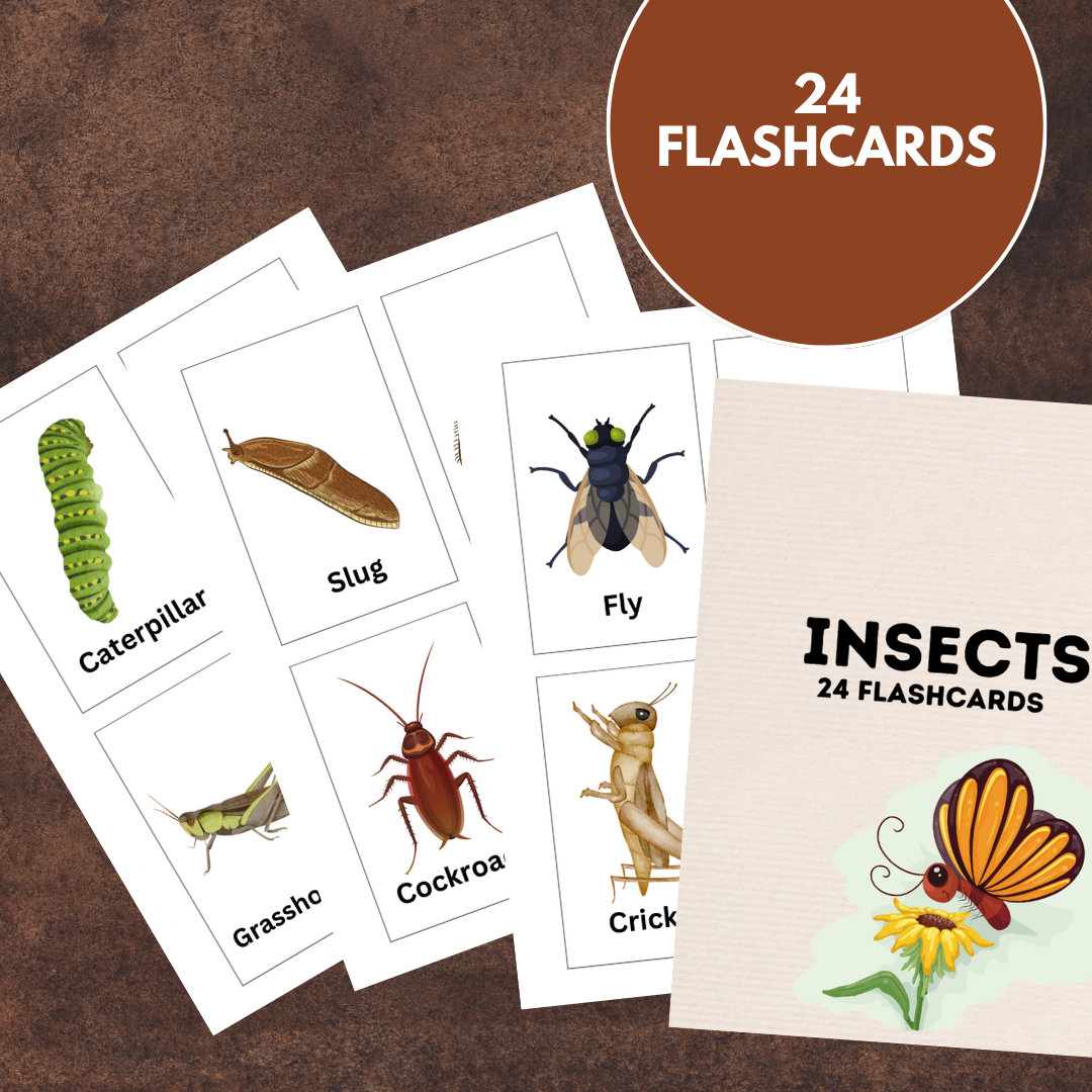 Printable Insects Flashcards | Download | Children's Learning - Etsy