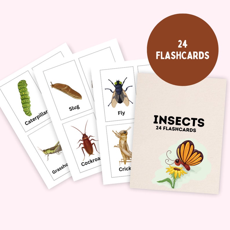 Printable Insects Flashcards Download Children's - Etsy