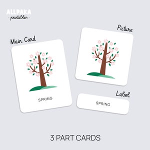 Seasons Flashcards, Montessori Educational Cards (digital Download) - Etsy