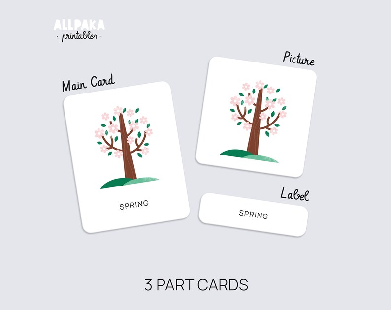 Seasons Cards, Montessori Flashcards, Pre-school Cards, Educational ...