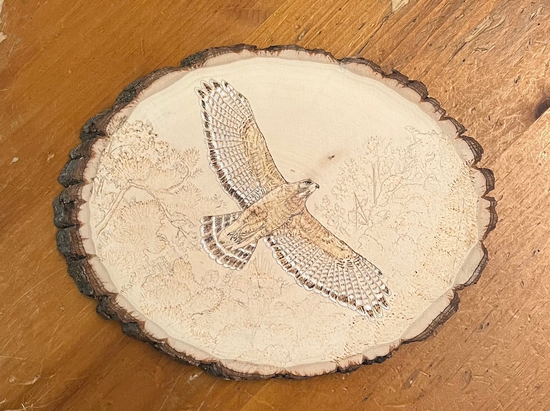 Wood Burned Hawk, Wood Burned Bird, Wood Burning Art, Wood Wall Hanging ...