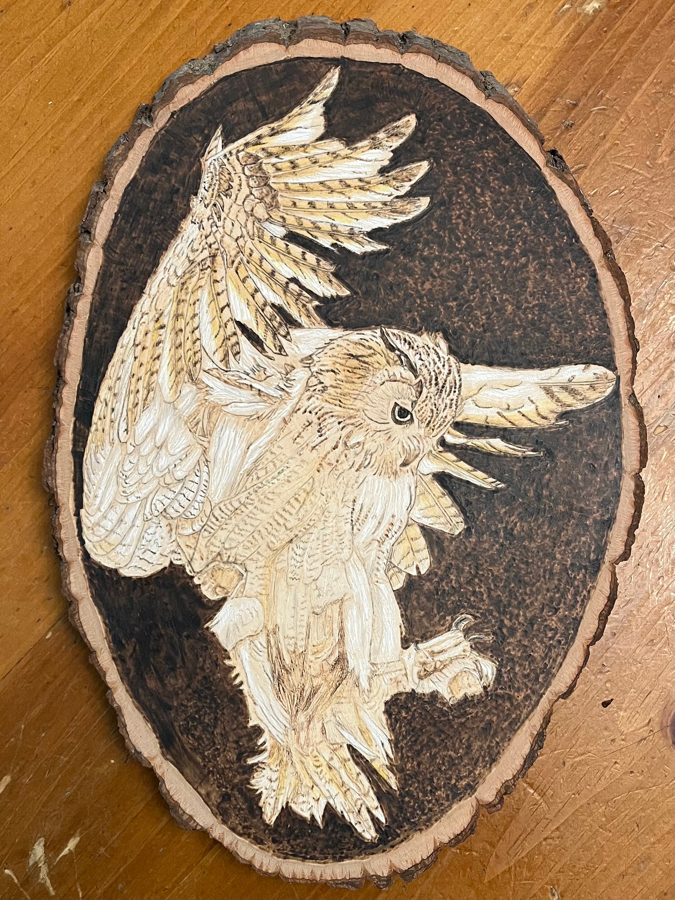 Wood Burned Owl, Wood Burned Bird of Prey, Wood Wall Art, Wood Wall ...