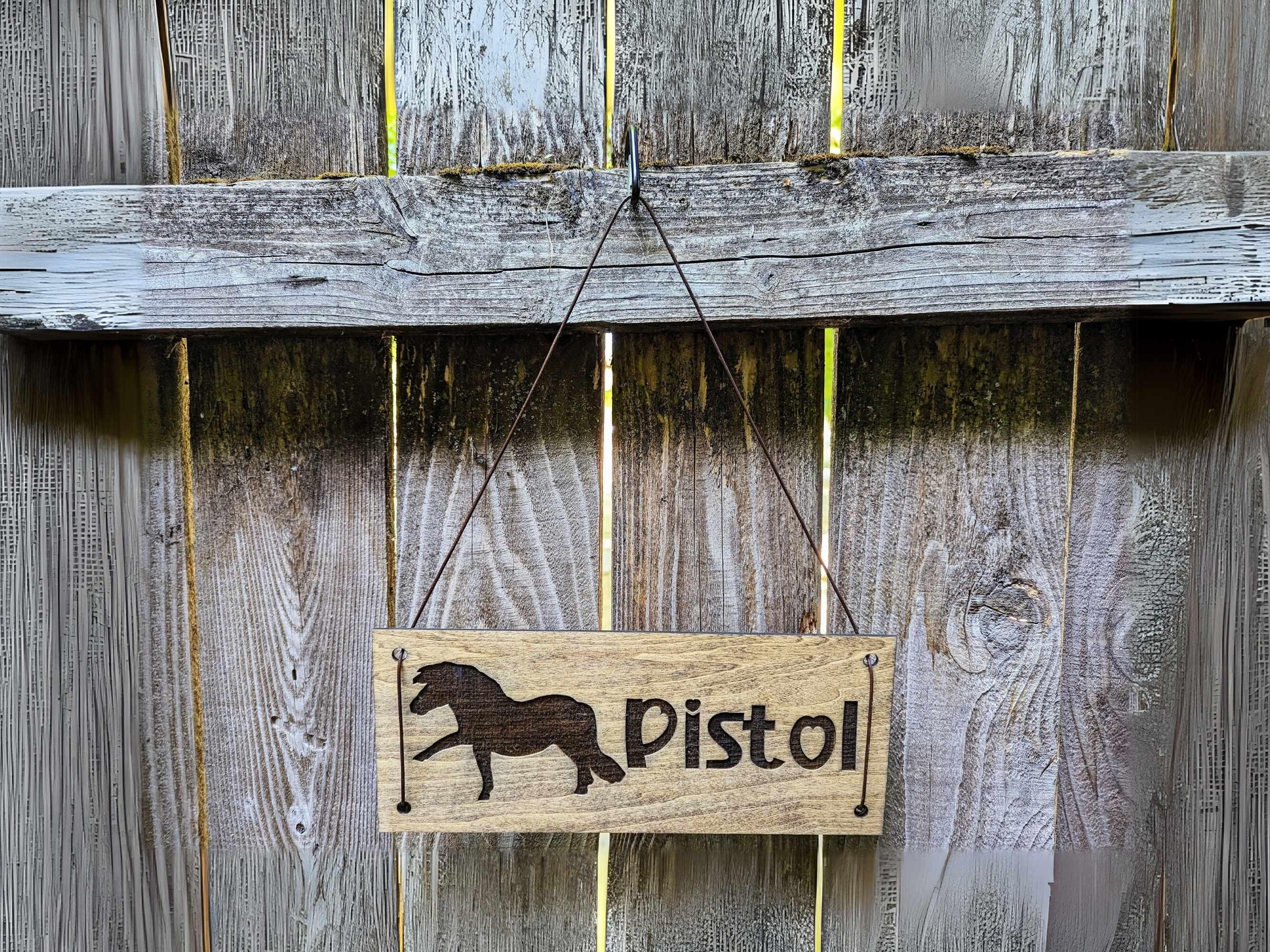 Horse Stall Sign for Barn Door Custom Wood Equestrian Present for Horse ...