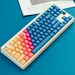 Vilebloom Colorful Gradient Keycaps Cherry Profile Keycaps Set PBT ...