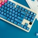 Vilebloom Colorful Gradient Keycaps Cherry Profile Keycaps Set PBT ...