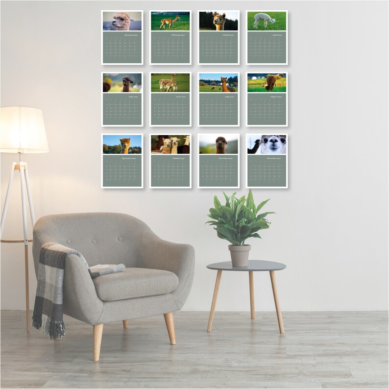 Alpaca Calendar, 2024, Printable, Editable, Bundle, Digital Download ...