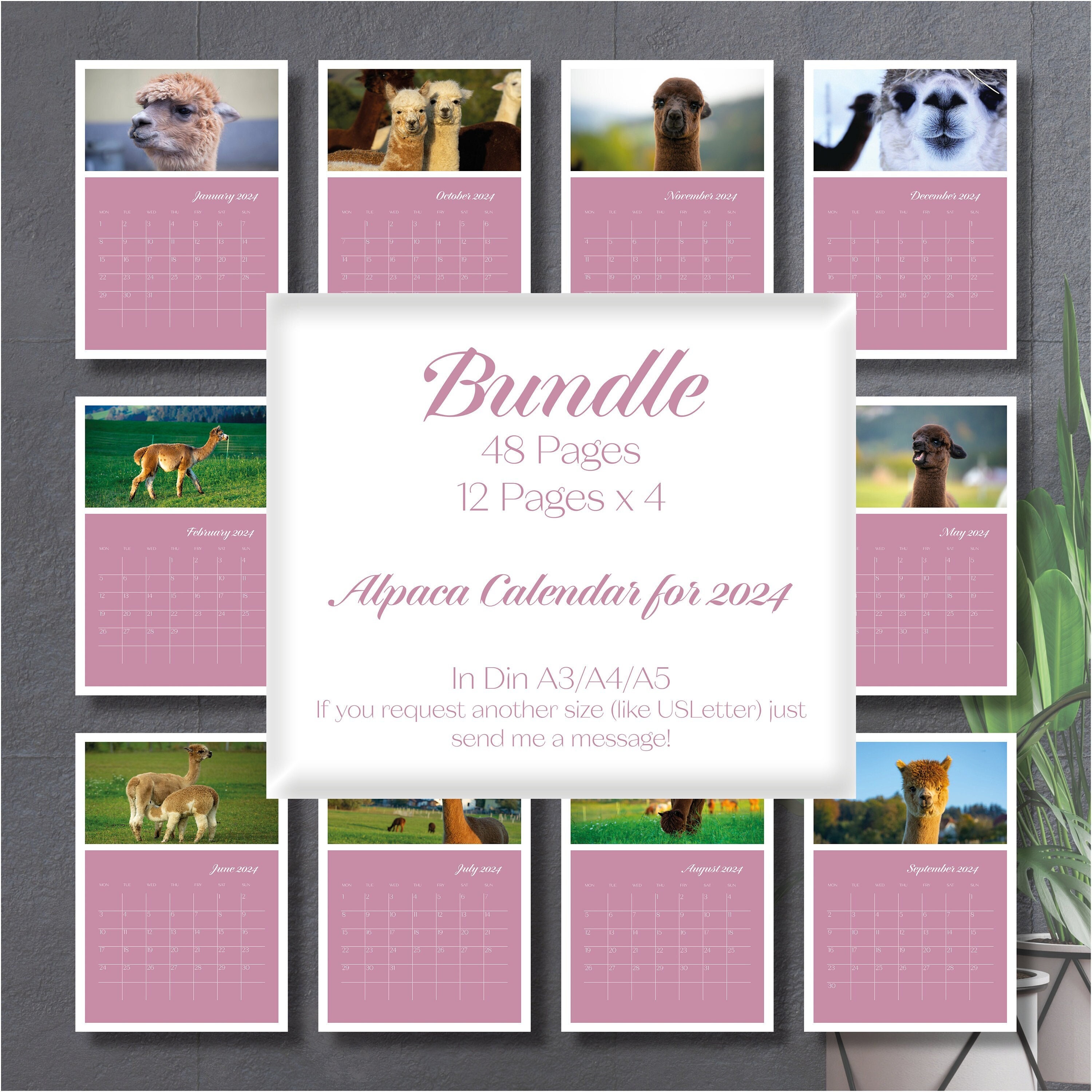 Alpaca Calendar, 2024, Printable, Editable, Bundle, Digital Download ...