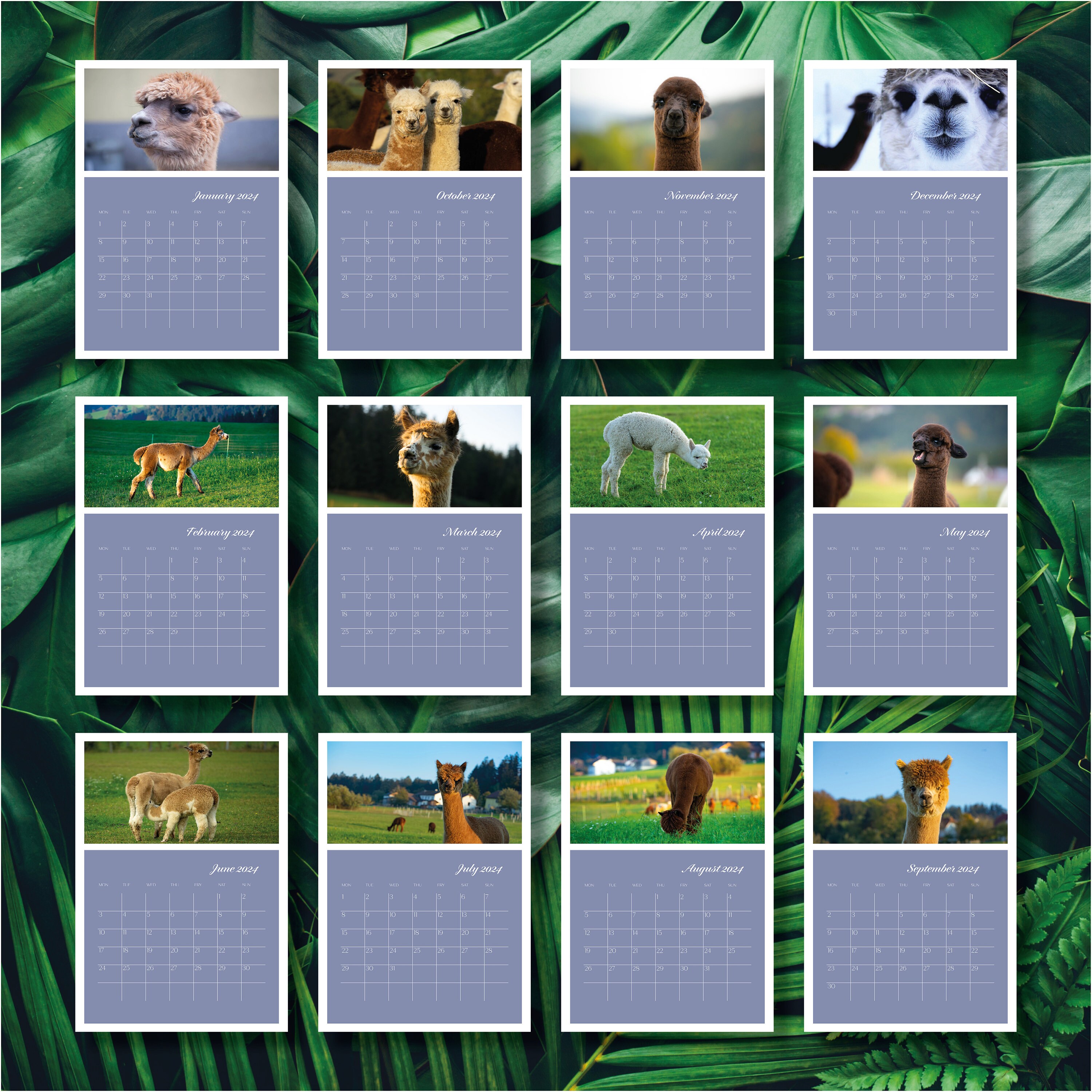 Alpaca Calendar, 2024, Printable, Editable, Bundle, Digital Download ...