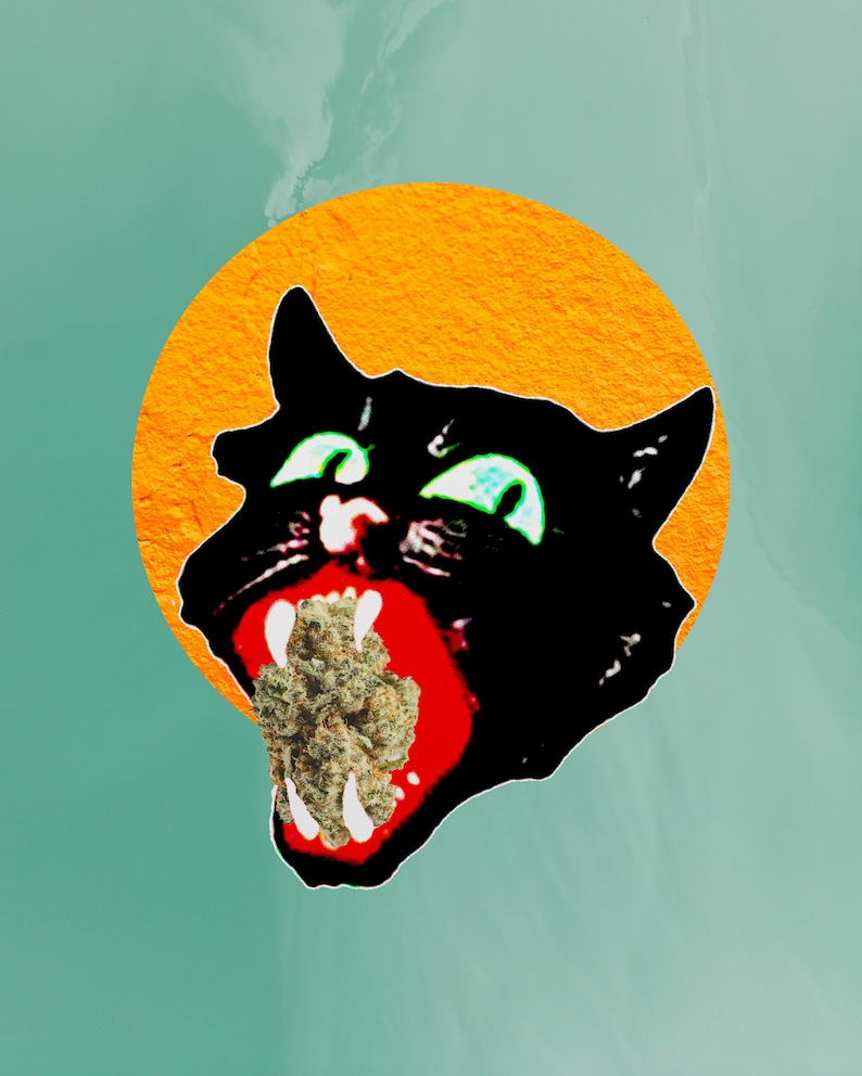 Cat Cannabis Retro Art Print Vintage Home Decor Weed - Etsy