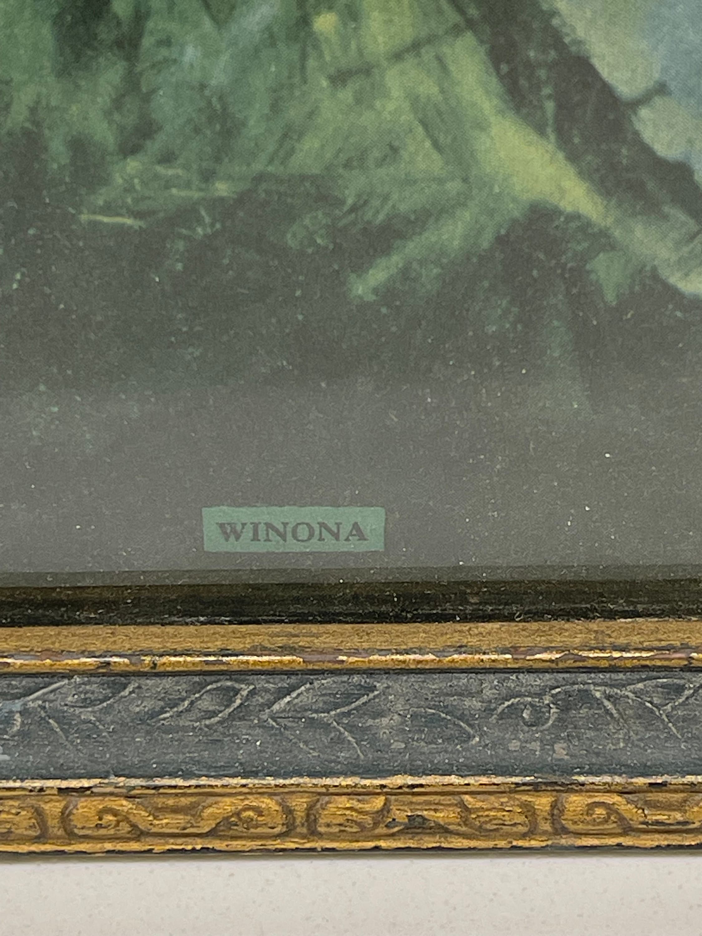 1930s R Atkinson Fox Native American Indian Maiden 17x13 Art Print ...