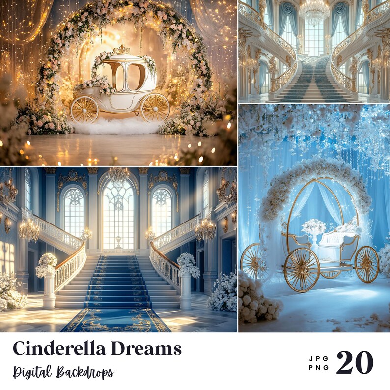 20 Cinderella Dreams Digital Backdrops, Perfect for Wedding, Birthday ...