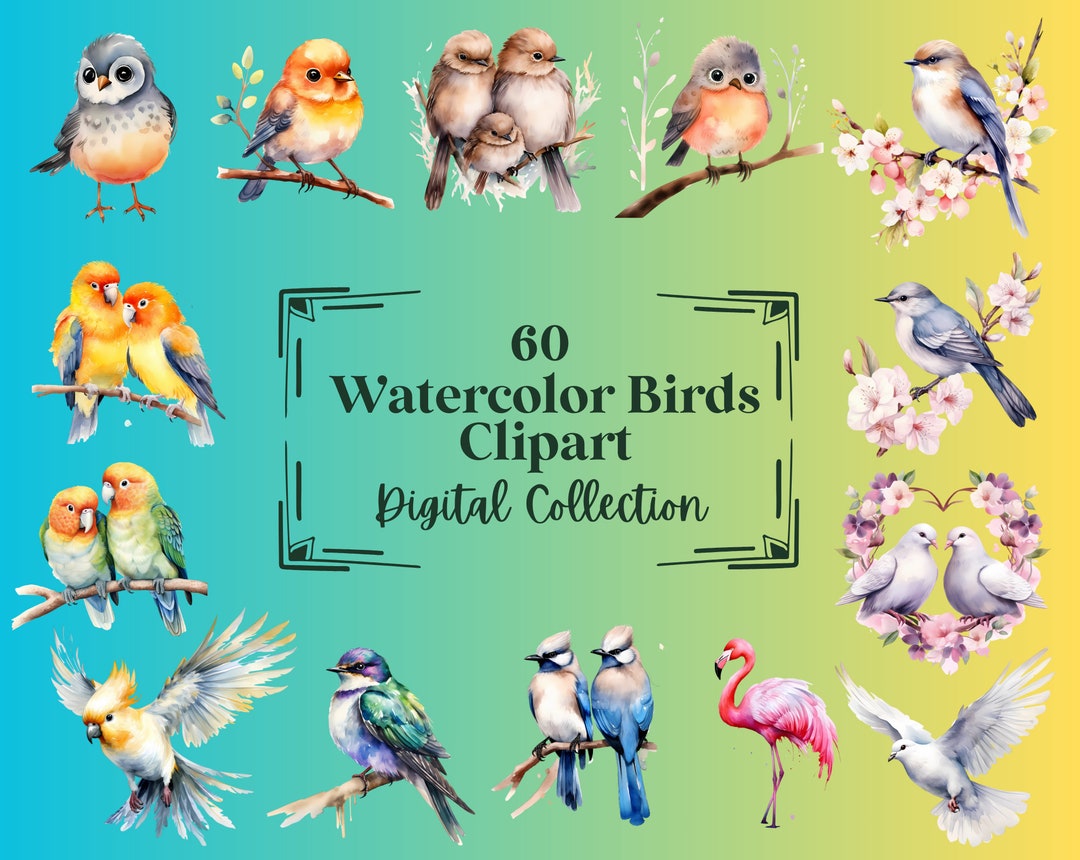 60 Watercolor Birds Clipart Illustrations, Perfect for Scrapbook ...