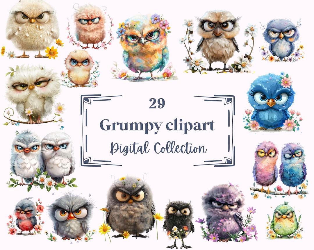 29 Grumpy Clipart Illustrations, Perfect for Scrapbook, Journal, Planner, Crafts, Instant ...