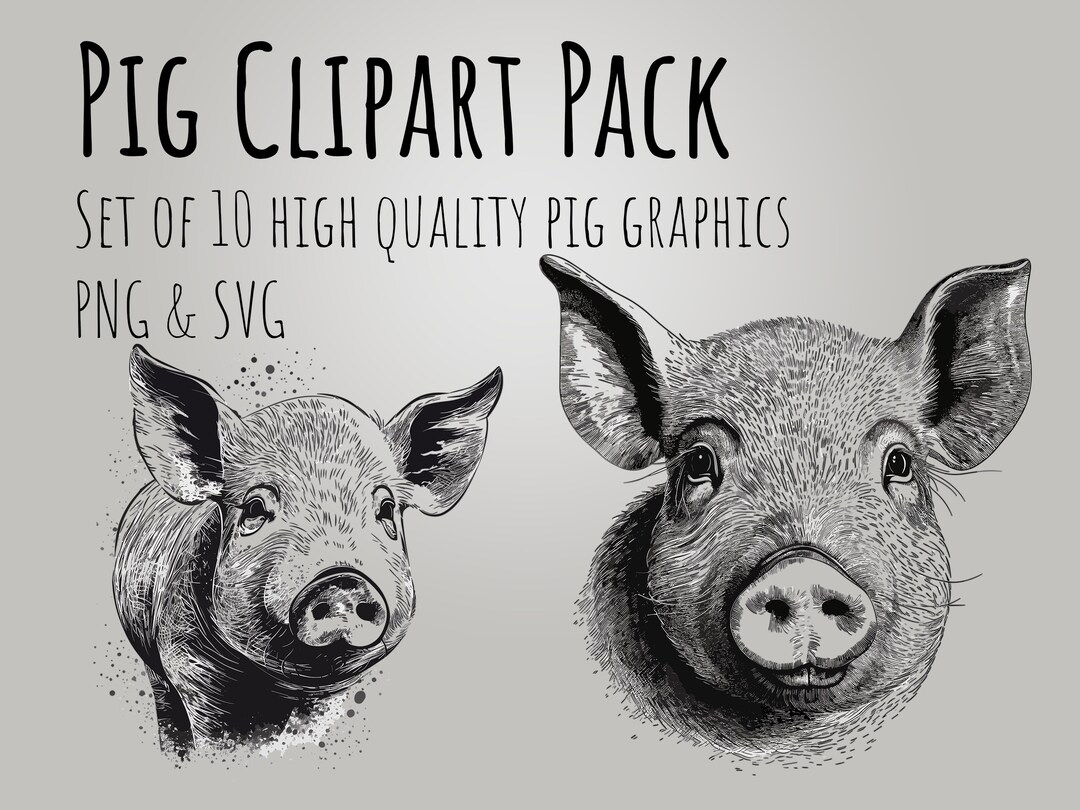 Pig Clipart Pack, PNG, SVG, Pig Svg, Pig Png, Instand Download ...