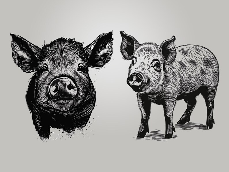 Pig Clipart Pack, PNG, SVG, Pig Svg, Pig Png, Instand Download ...
