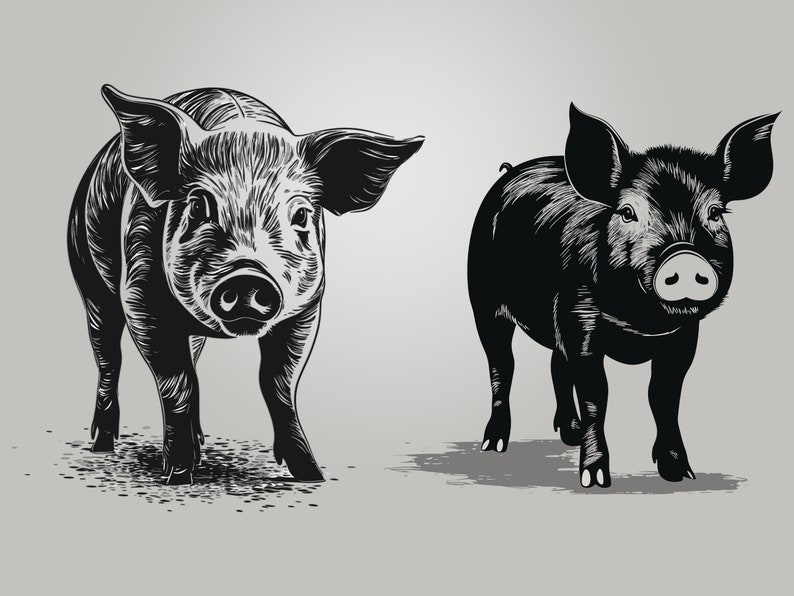 Pig Clipart Pack, PNG, SVG, Pig Svg, Pig Png, Instand Download ...