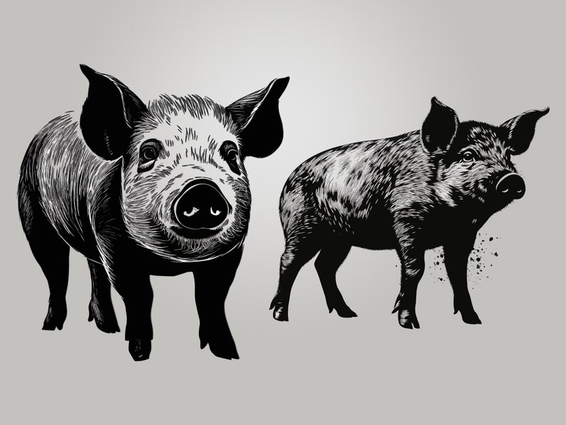 Pig Clipart Pack, PNG, SVG, Pig Svg, Pig Png, Instand Download ...