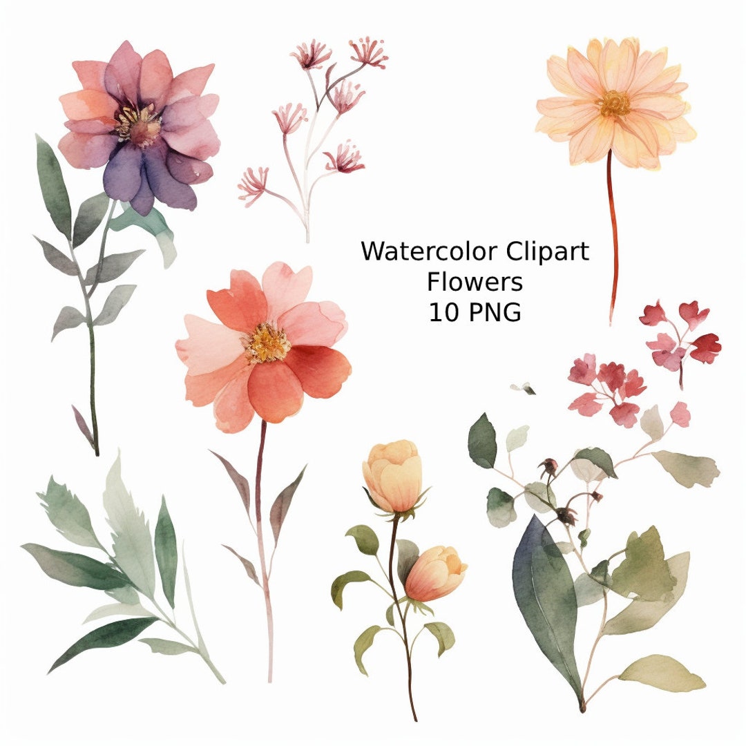 Watercolor Flower Clipart Set, Minimalist Clipart PNG, Digital Download ...