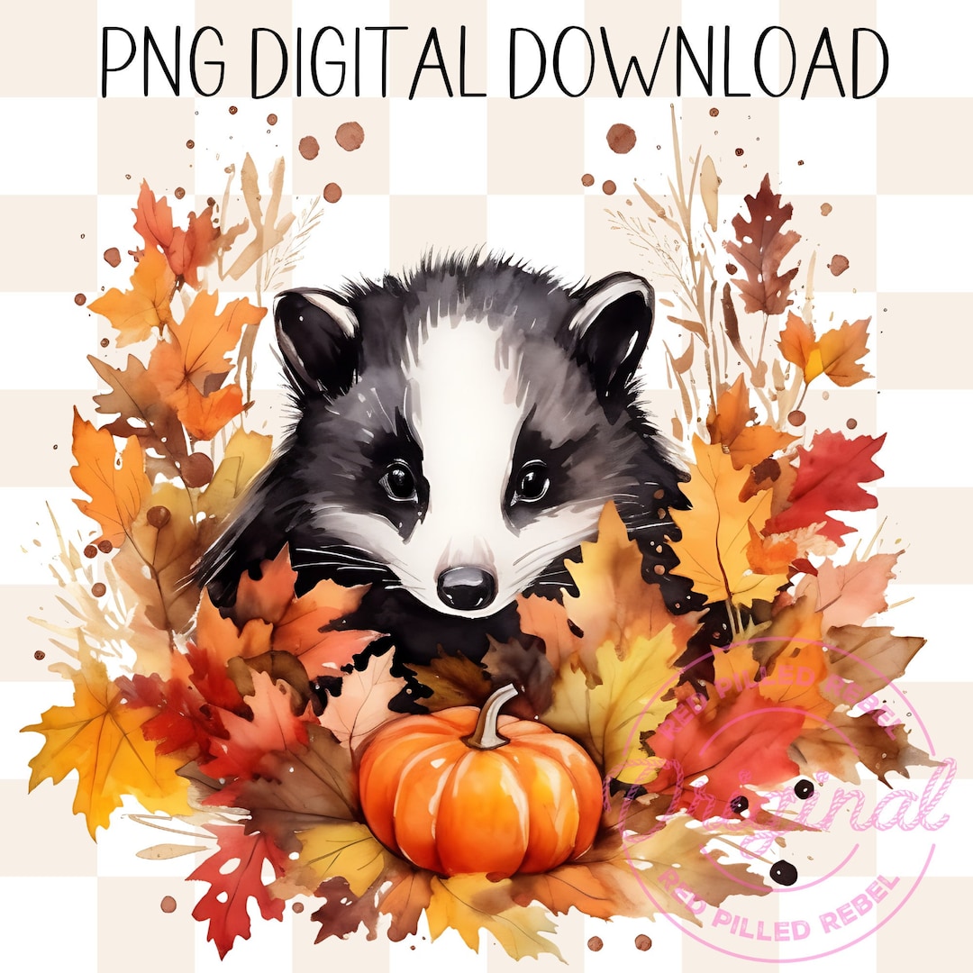 Cute Autumn Skunk PNG Beautiful Watercolor Floral Skunk Design for ...