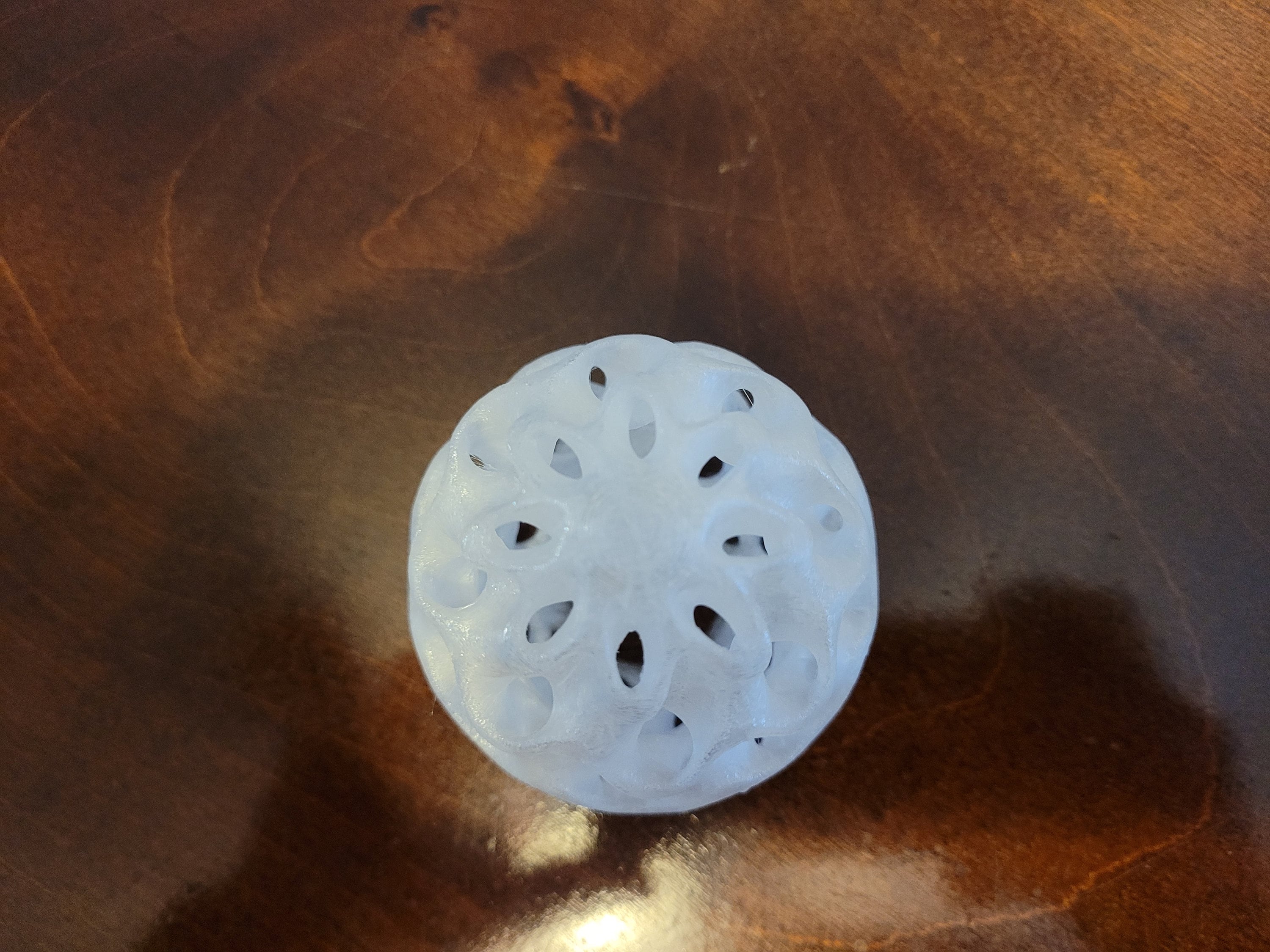 Shrimp Hide V2 - Etsy